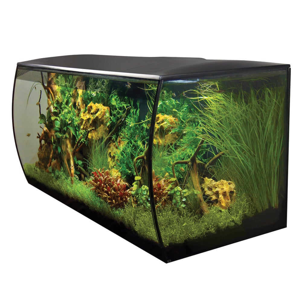fluval fish tank