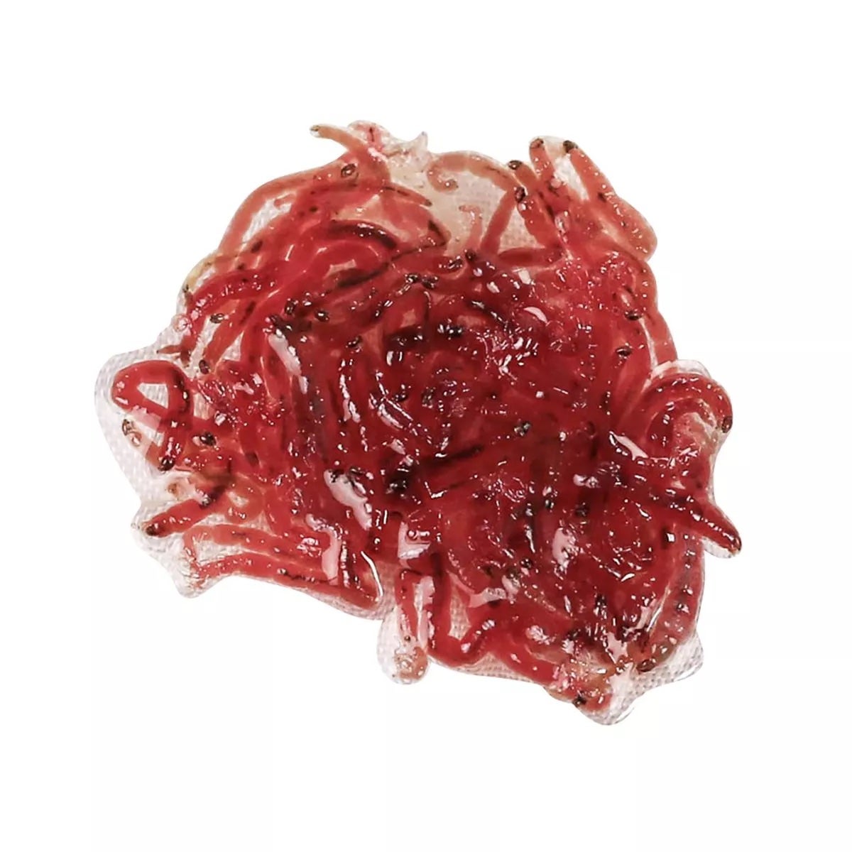 bloodworms