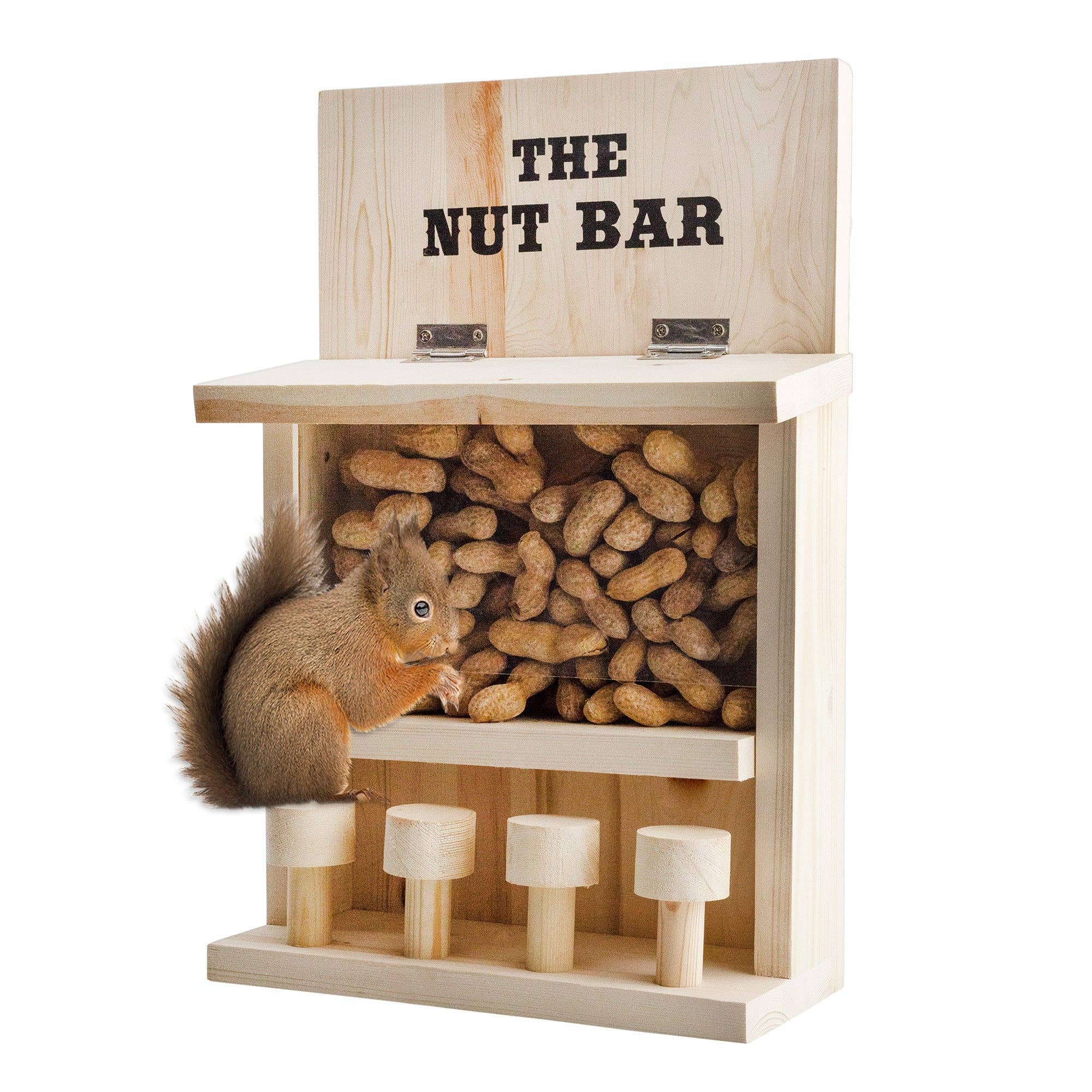 squirrel cafe feeder