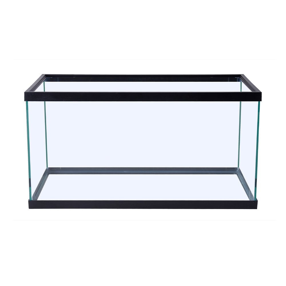 empty fish aquarium