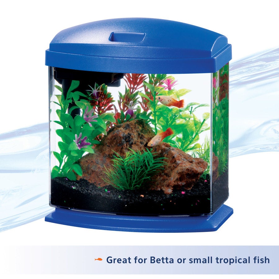1 Gallon Fish Tank